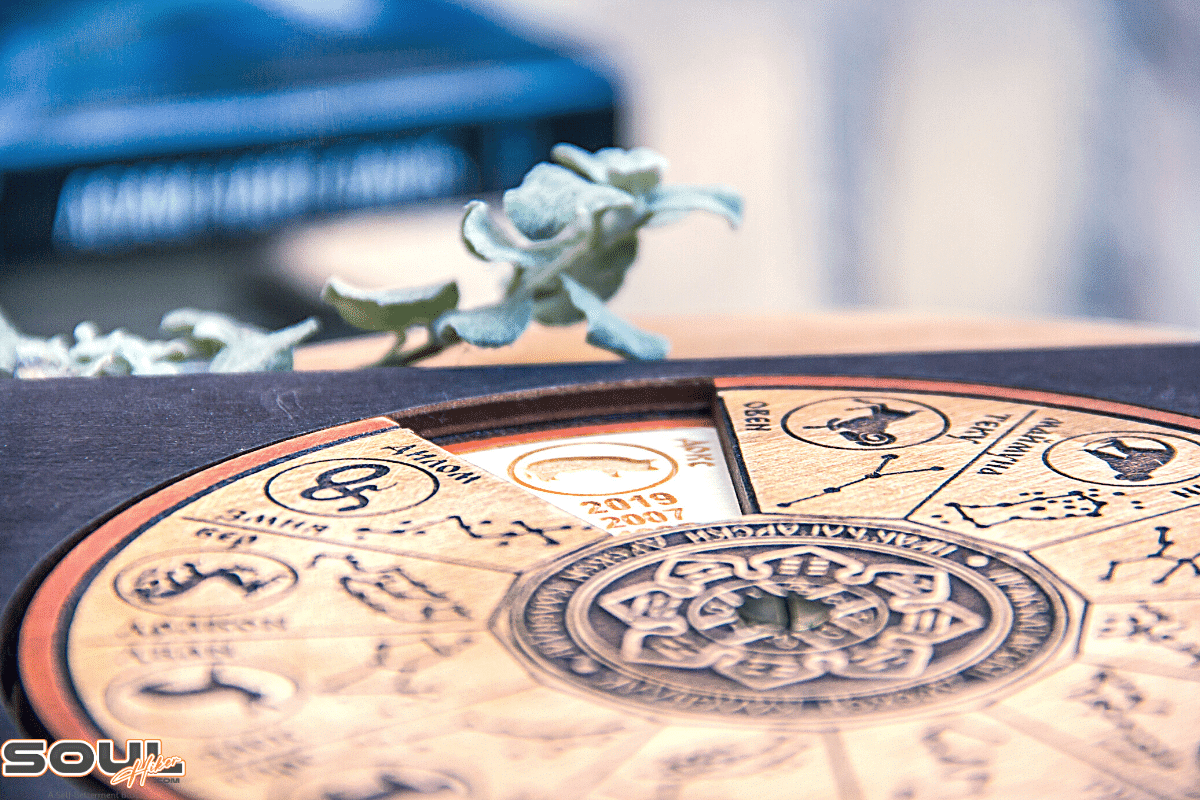Astrology For Beginners - Soul Hiker