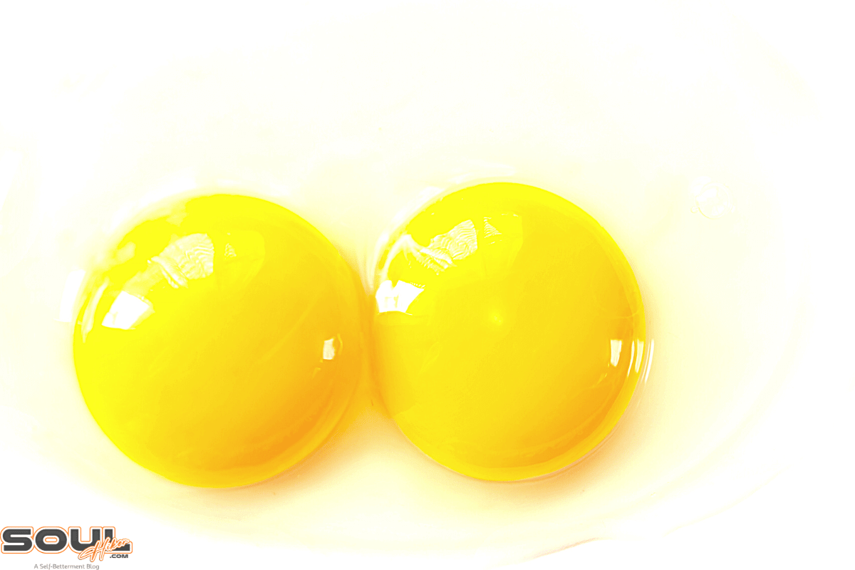 Double Yolk Egg Spiritual Meaning - Soul Hiker