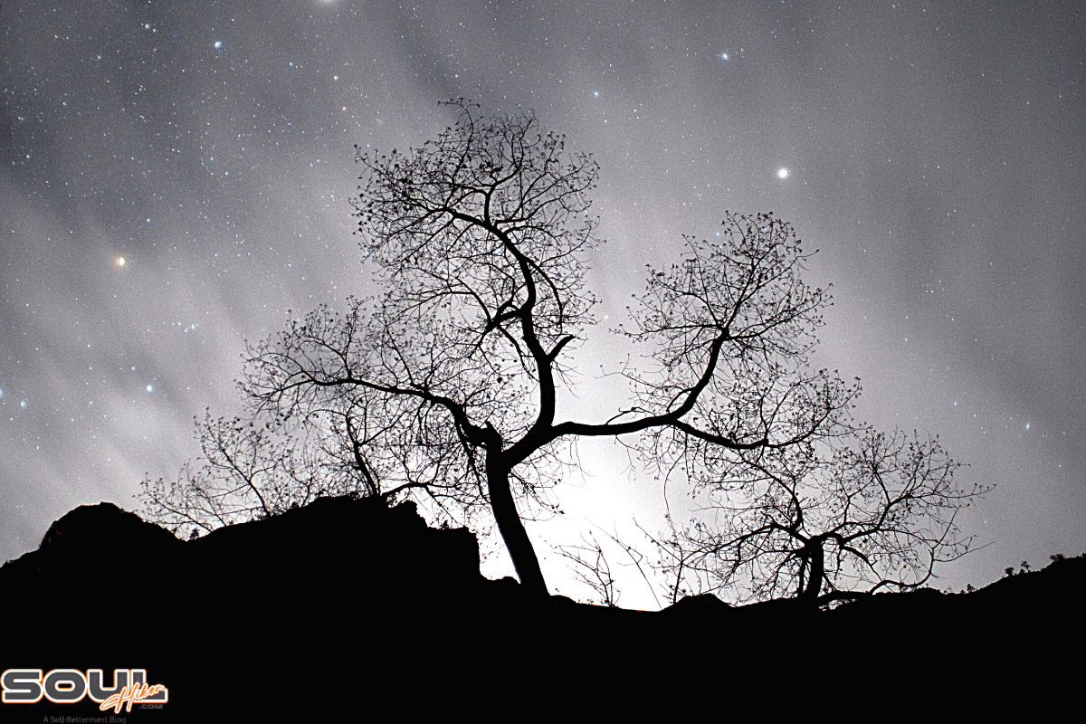 Sirius Star Spiritual Significance - Soul Hiker